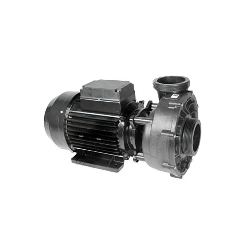 Waterway Viper 2 speed 2,7 kW - Waterway Pompen - Roke Zwem & Spa